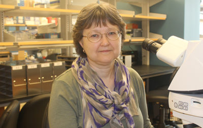 Team – Rostomily Lab | Houston Methodist